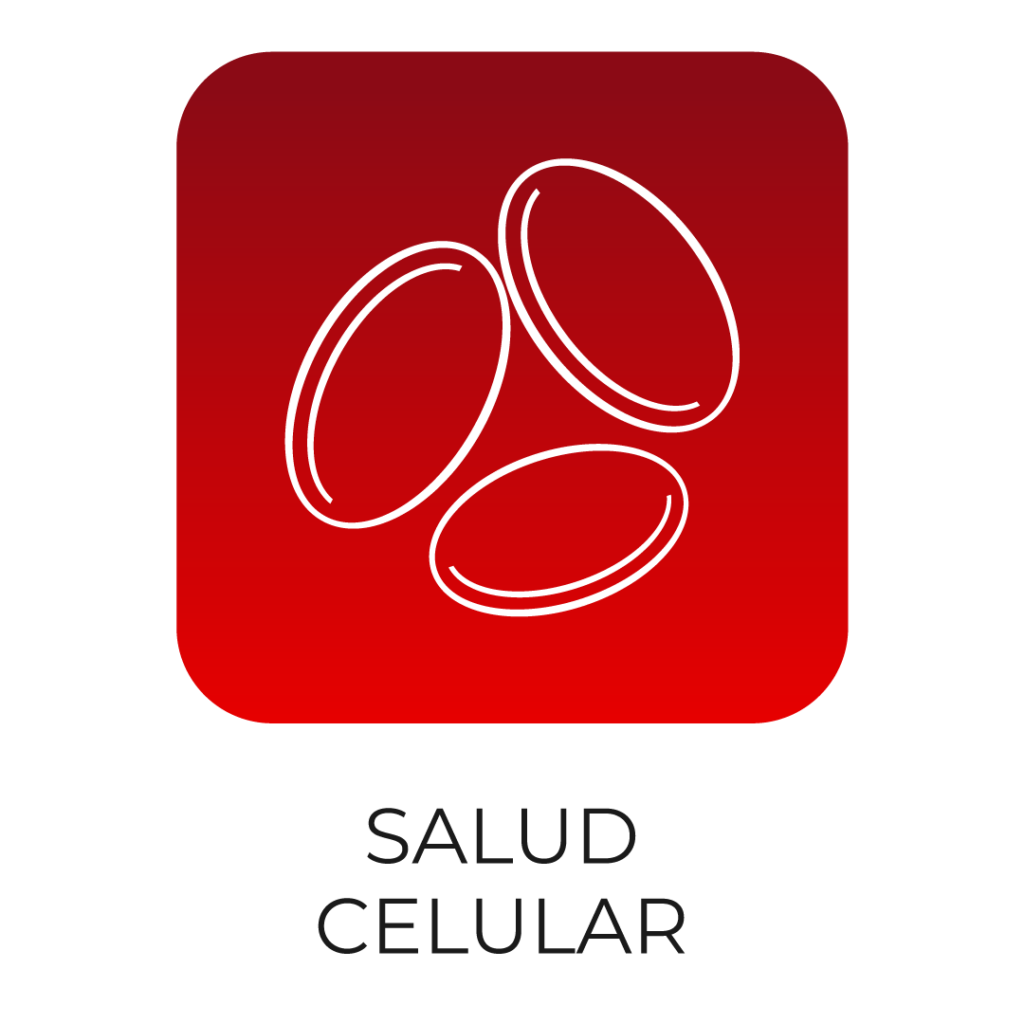 Beneficios para los consumidores – Panaferd® Chile