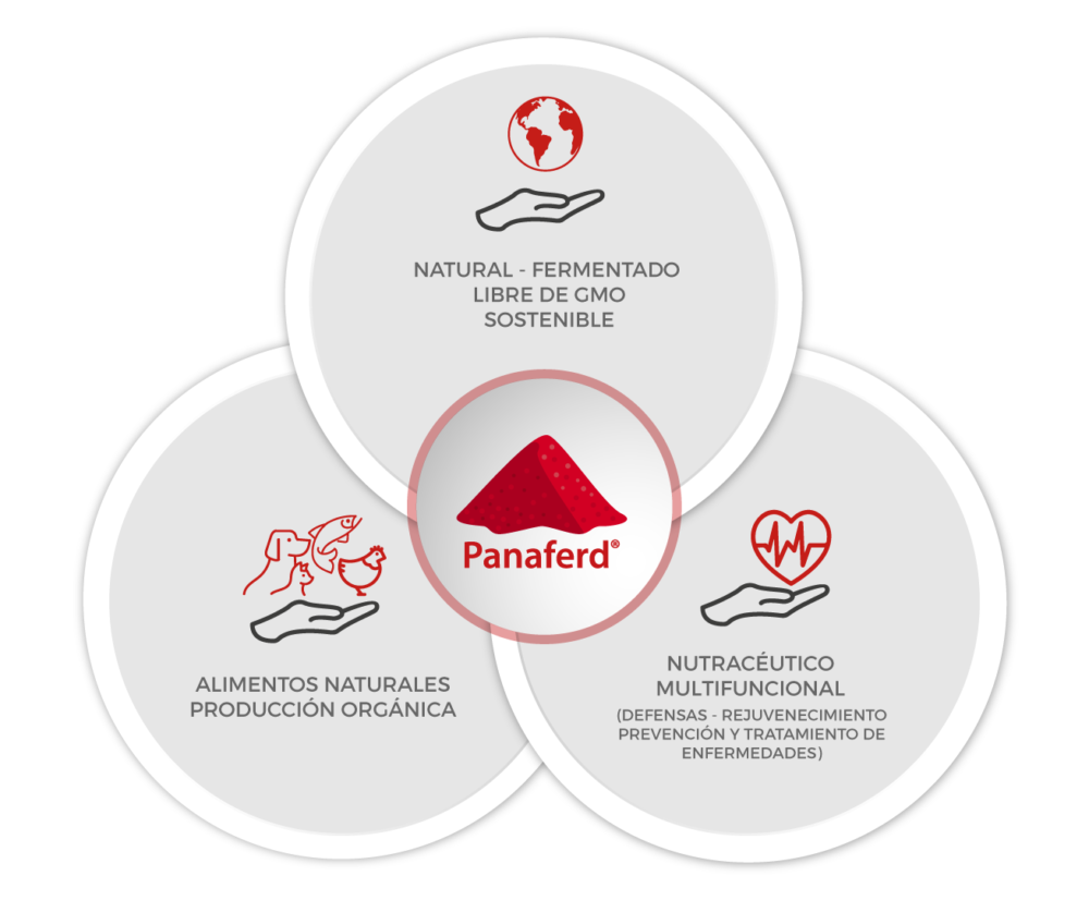 Origen y producción – Panaferd® Chile