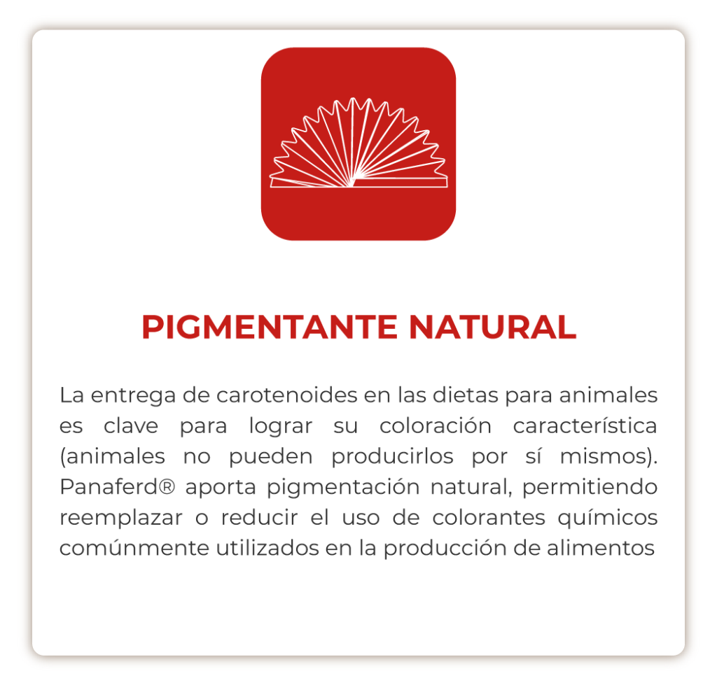 Usos y funciones – Panaferd® Chile