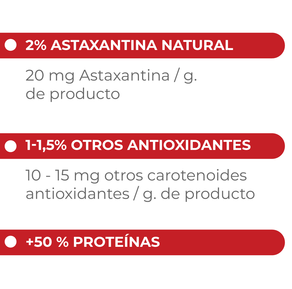 ¿Qué es Panaferd®? – Panaferd® Chile